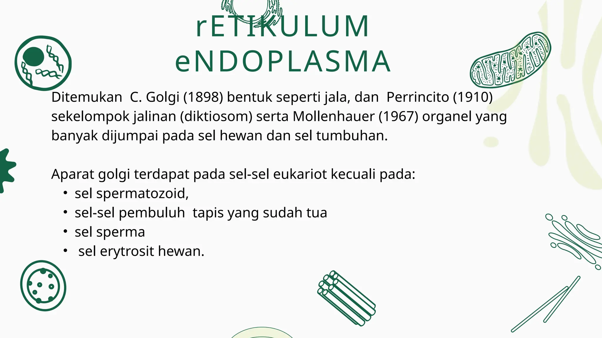 struktur fungsi dan proses biologi pada sitoplasma nukleus mitokondria ...