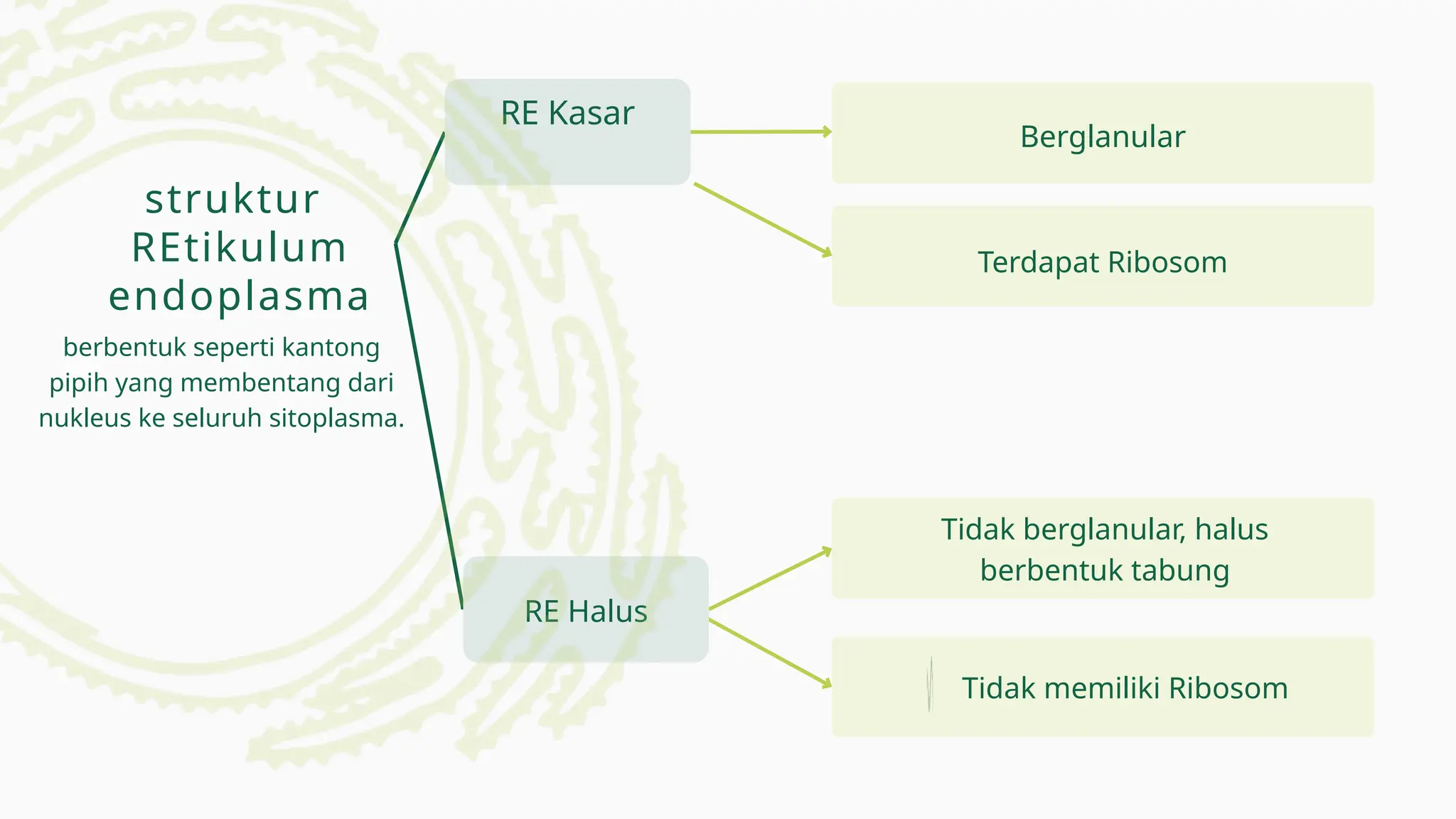 struktur fungsi dan proses biologi pada sitoplasma nukleus mitokondria peroksisom retikulum ...