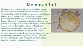 struktur fungsi dan proses biologi pada sitoplasma nukleus mitokondria ...