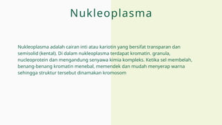struktur fungsi dan proses biologi pada sitoplasma nukleus mitokondria ...