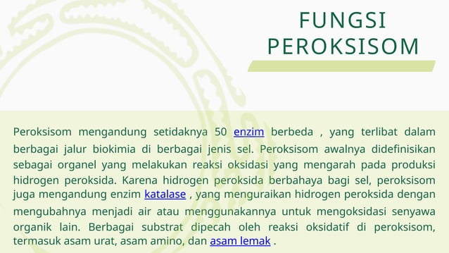 struktur fungsi dan proses biologi pada sitoplasma nukleus mitokondria ...