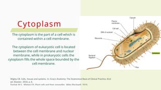 struktur fungsi dan proses biologi pada sitoplasma nukleus mitokondria ...