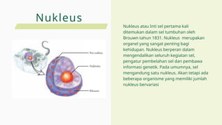 struktur fungsi dan proses biologi pada sitoplasma nukleus mitokondria ...