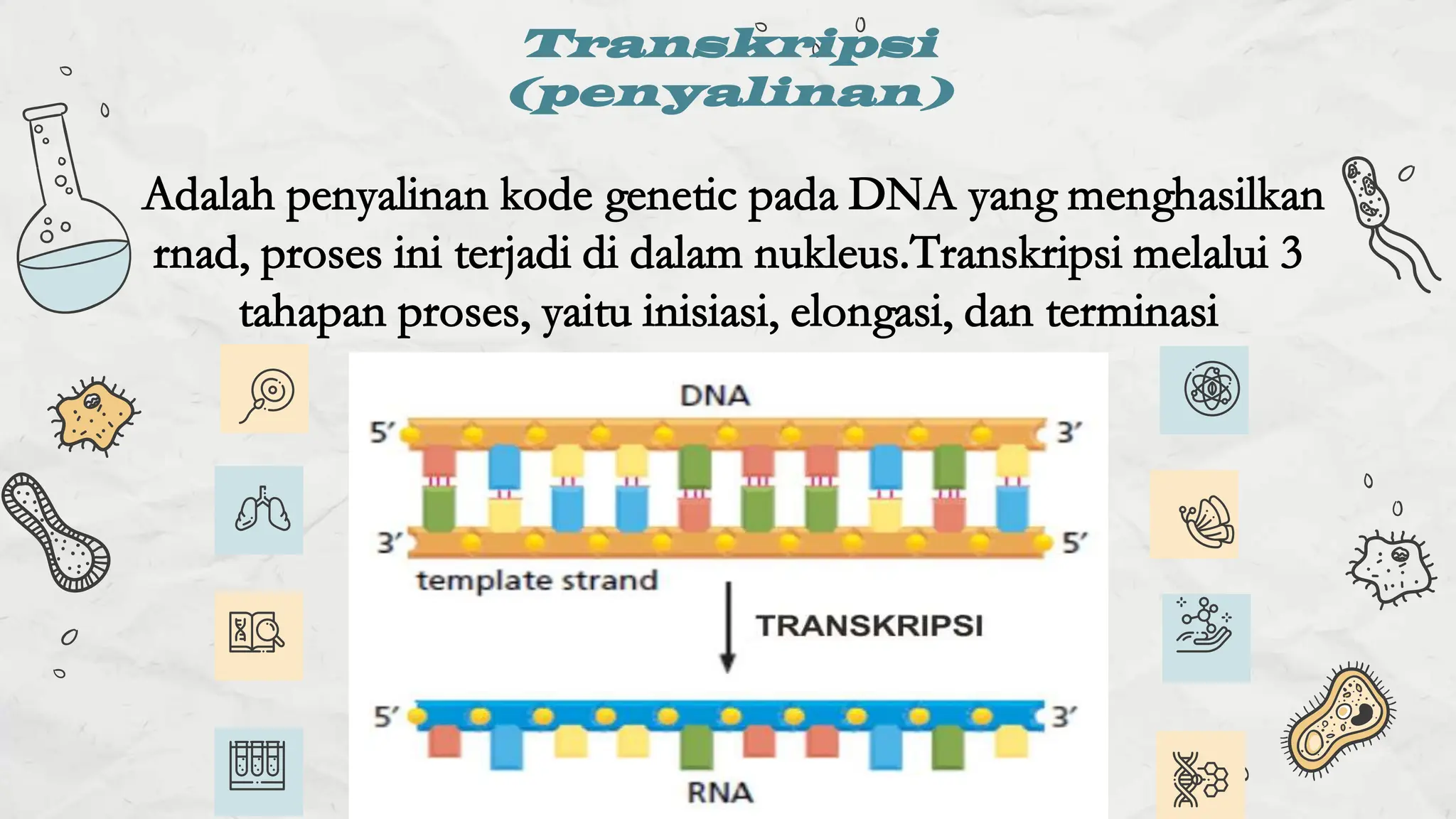STRUKTUR,FUNGSI DAN SINTESIS PROTEIN.pptx