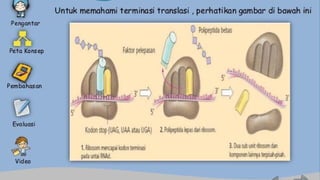 Struktur, Fungsi dan Sintesis Protein Sel_BOLOGI SEL_3J.pdf