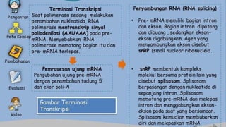Struktur, Fungsi dan Sintesis Protein Sel_BOLOGI SEL_3J.pdf