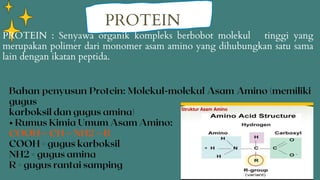 Struktur, Fungsi dan Sintesis Protein Sel_BOLOGI SEL_3J.pdf