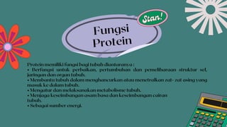 Struktur, Fungsi dan Sintesis Protein Sel_BOLOGI SEL_3J.pdf
