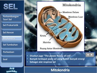 Struktur, fungsi, dan teori sel [incomplete] | PPTX