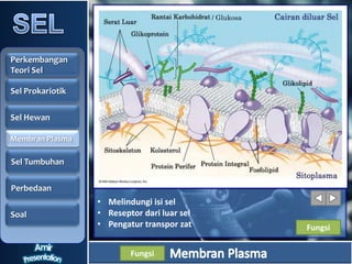 Struktur, fungsi, dan teori sel [incomplete] | PPTX