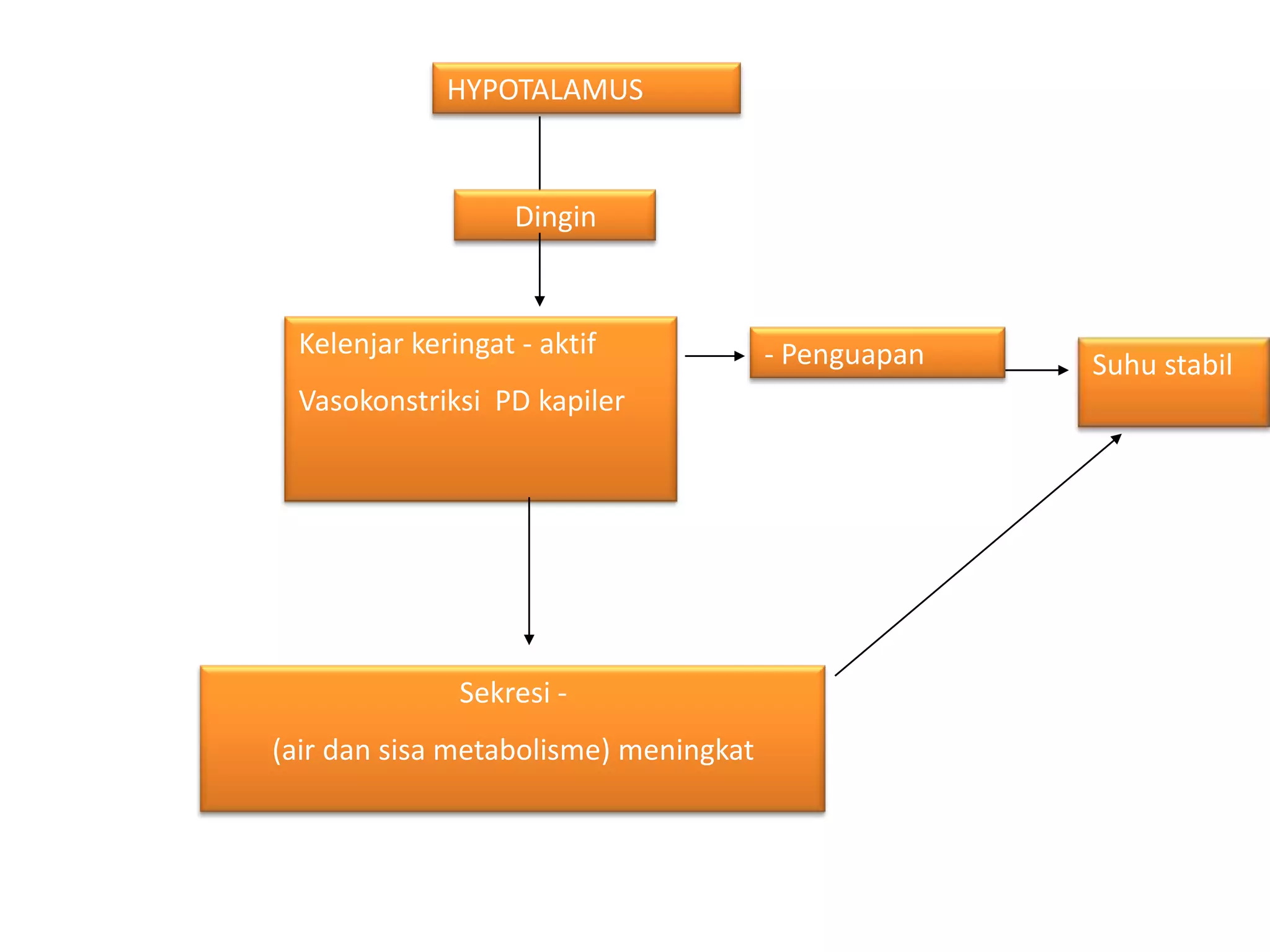 Struktur, fungsi, histologi sistem integumen | PPTX