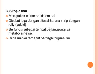 Struktur dan Fungsi organel sel | PPT