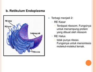 Struktur dan Fungsi organel sel | PPT