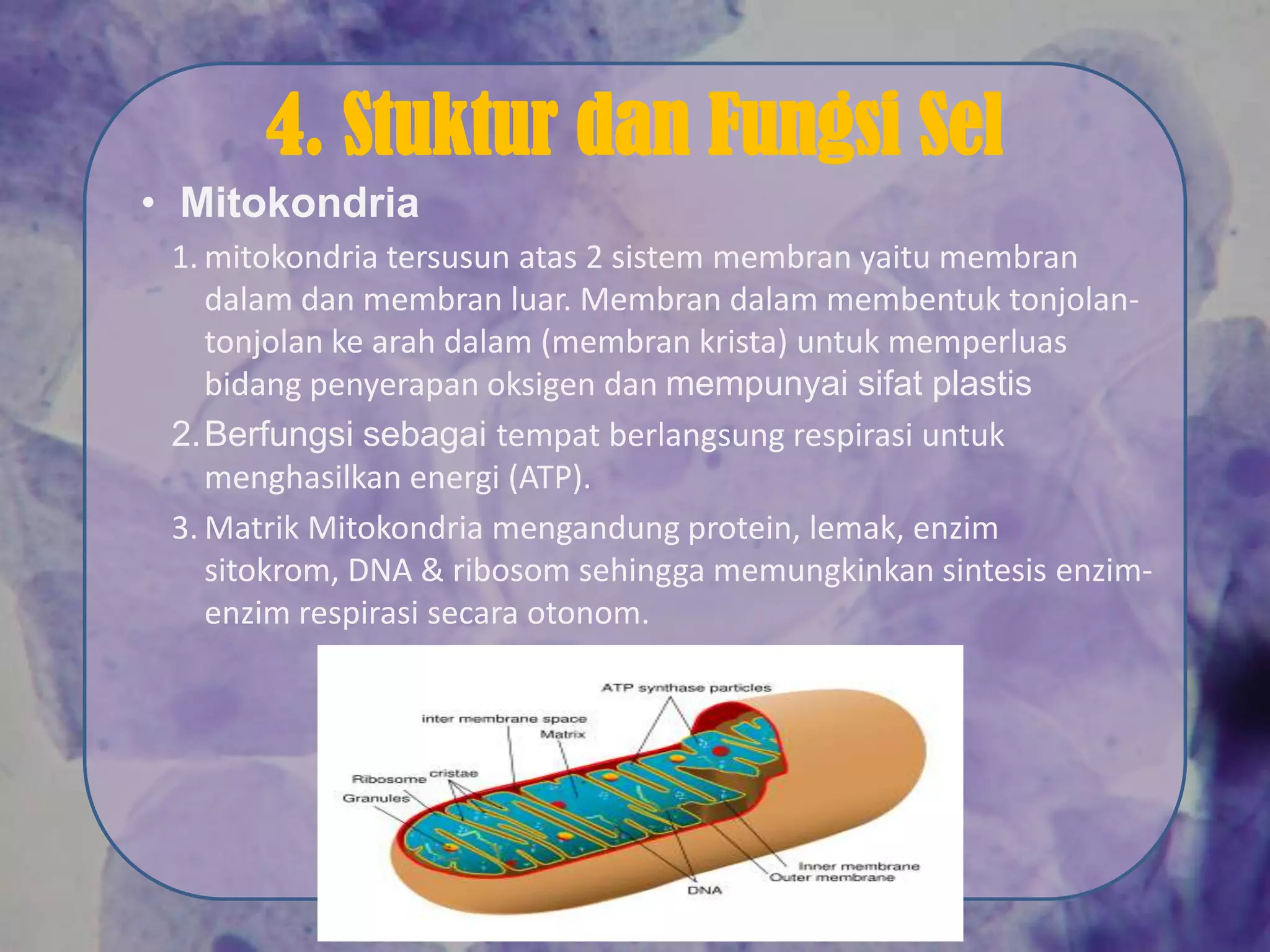 Struktur dan Fungsi Organel Sel | PPTX