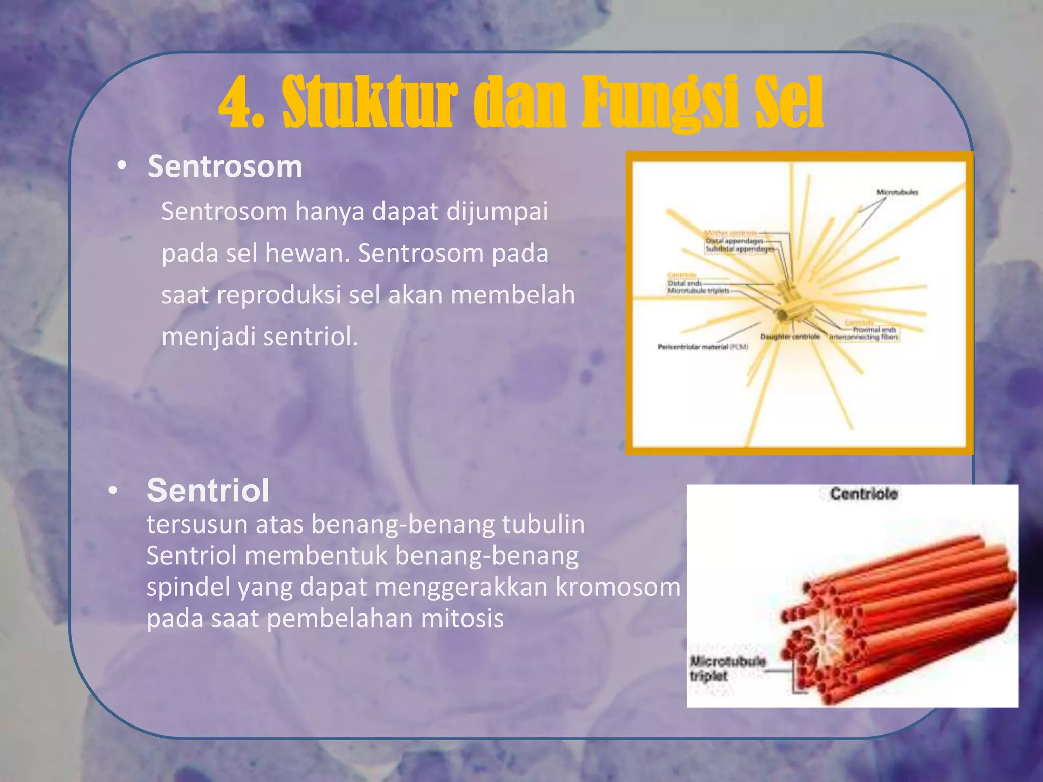 Struktur dan Fungsi Organel Sel | PPTX