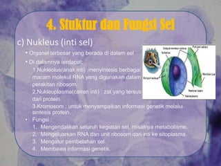Struktur dan Fungsi Organel Sel | PPTX