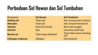 Struktur & Fungsi Sel_Biologi Umum Pertemuan 5&6.pptx