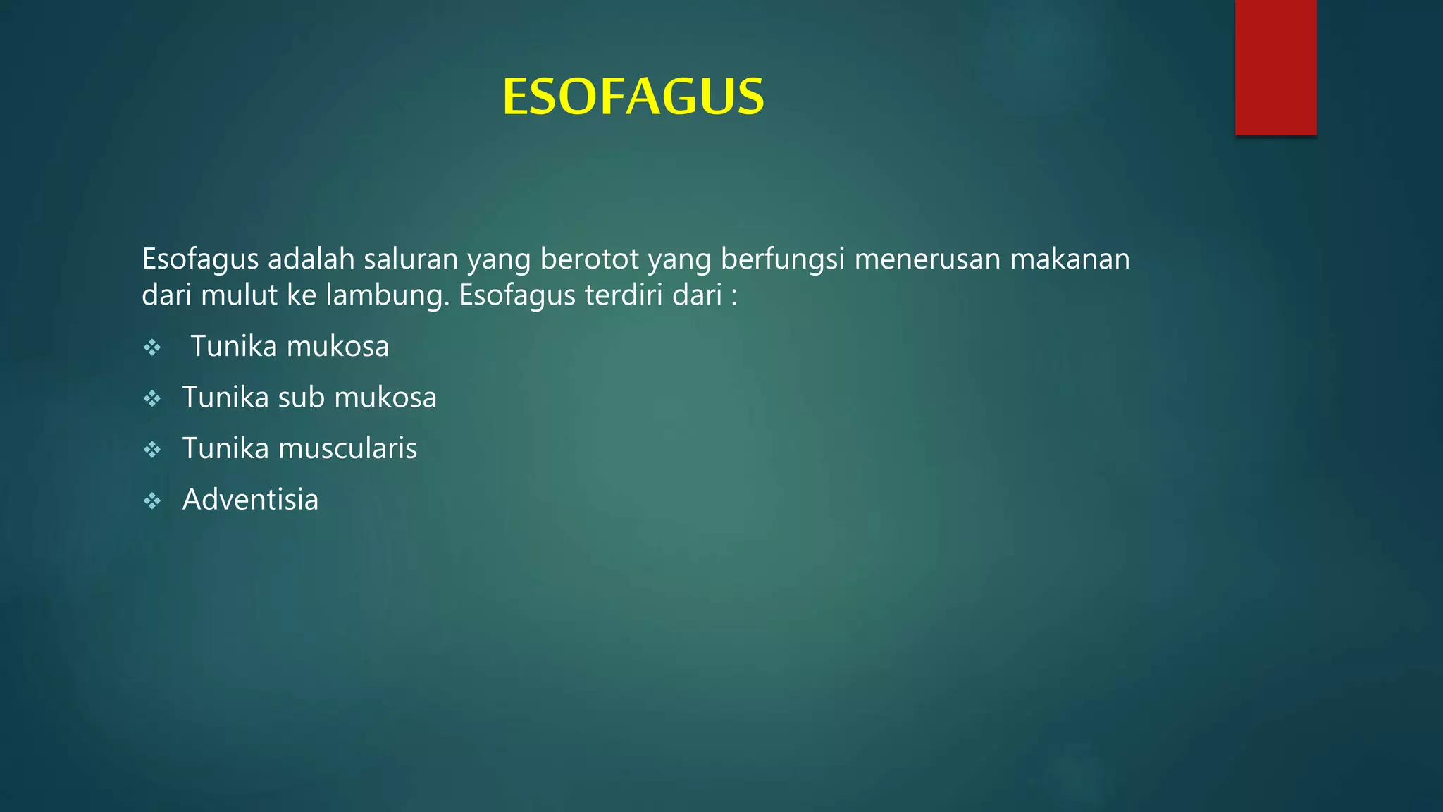 Struktur histologi esofagus | PPTX