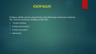 Struktur histologi esofagus | PPTX