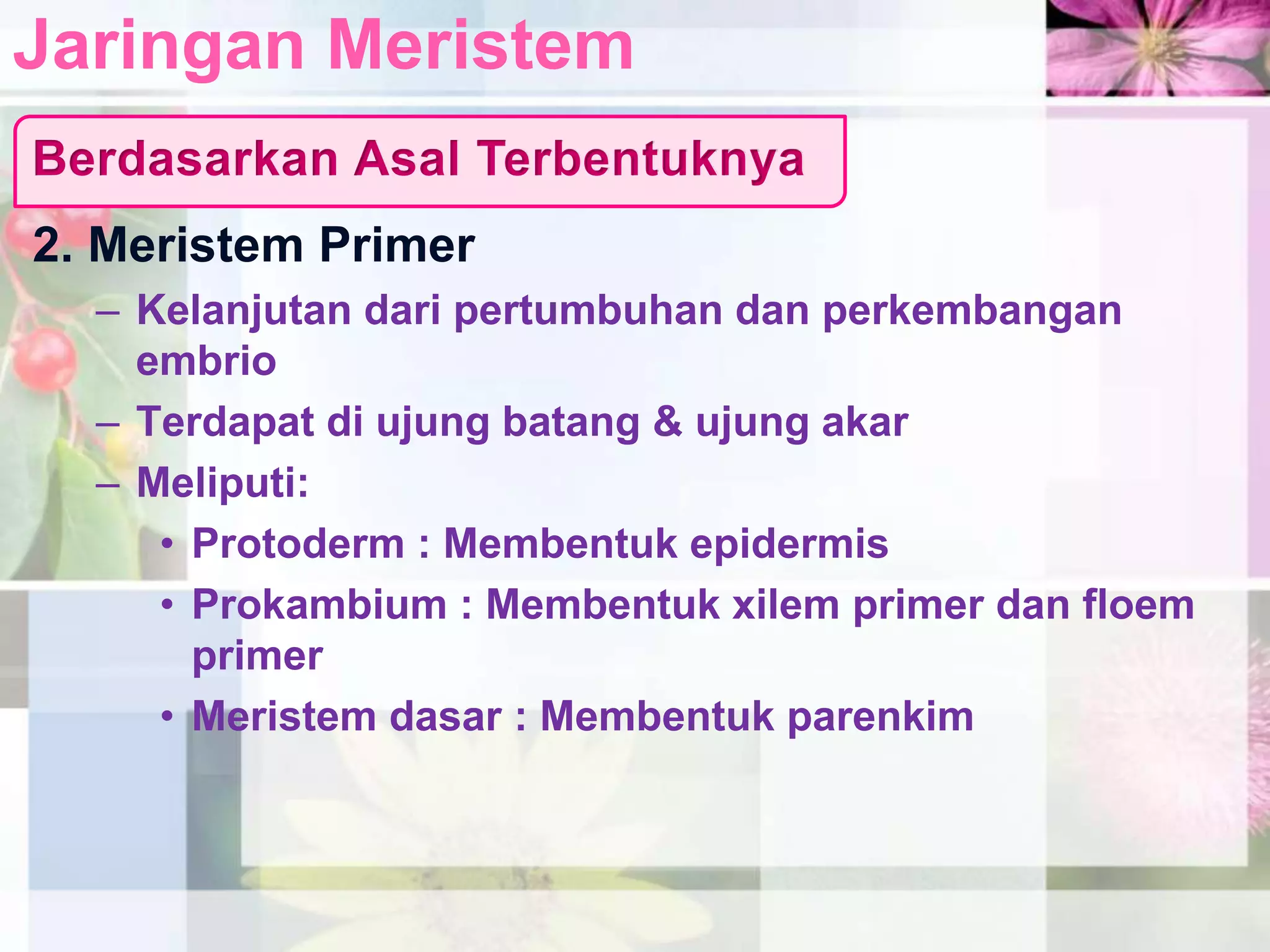 Struktur & Jaringan Pada Tumbuhan (Jaringan Meristem) | PPTX