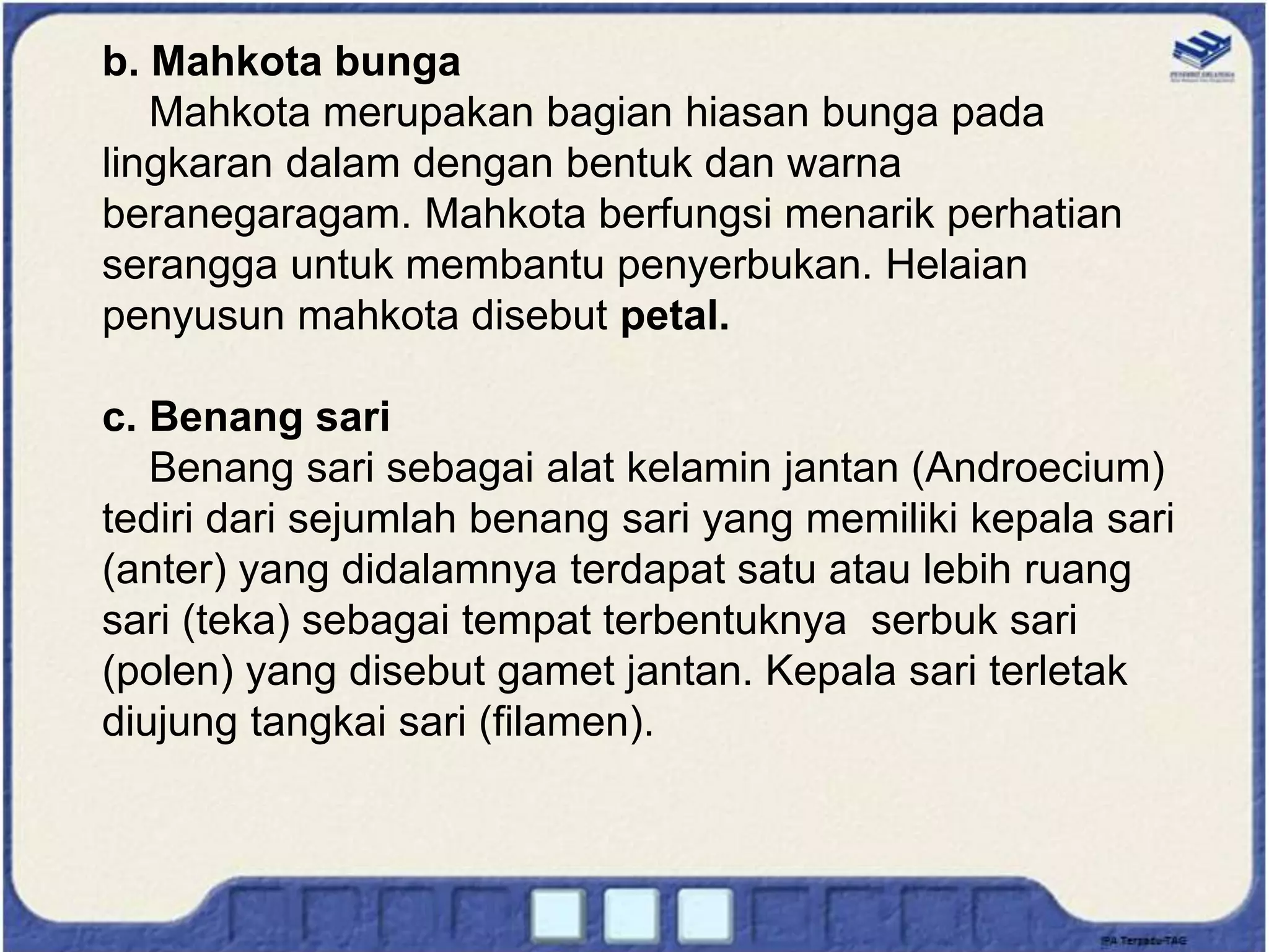 STRUKTUR JARINGAN TUMBUHAN.ppt