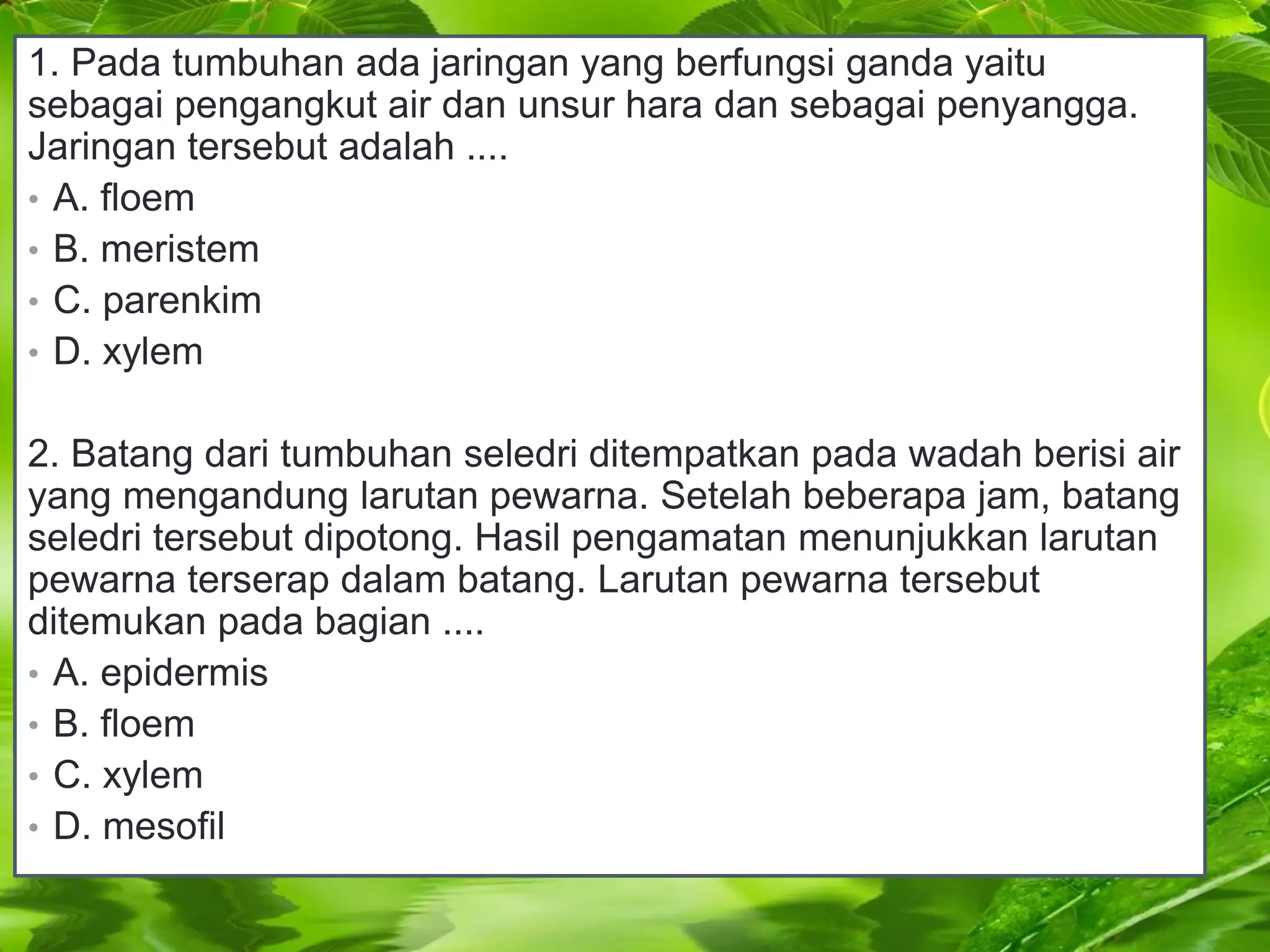 struktur jaringan tumbuhan tingkat tinggi | PDF