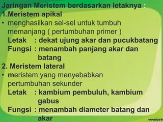 struktur jaringan tumbuhan tingkat tinggi | PDF