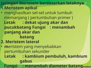 struktur jaringan tumbuhan untuk sma kelas 11.pptx