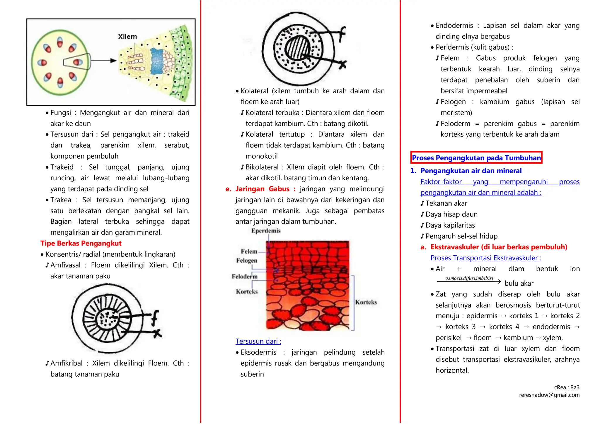 Materi Struktur Jaringan Tumbuhan(1).pdf