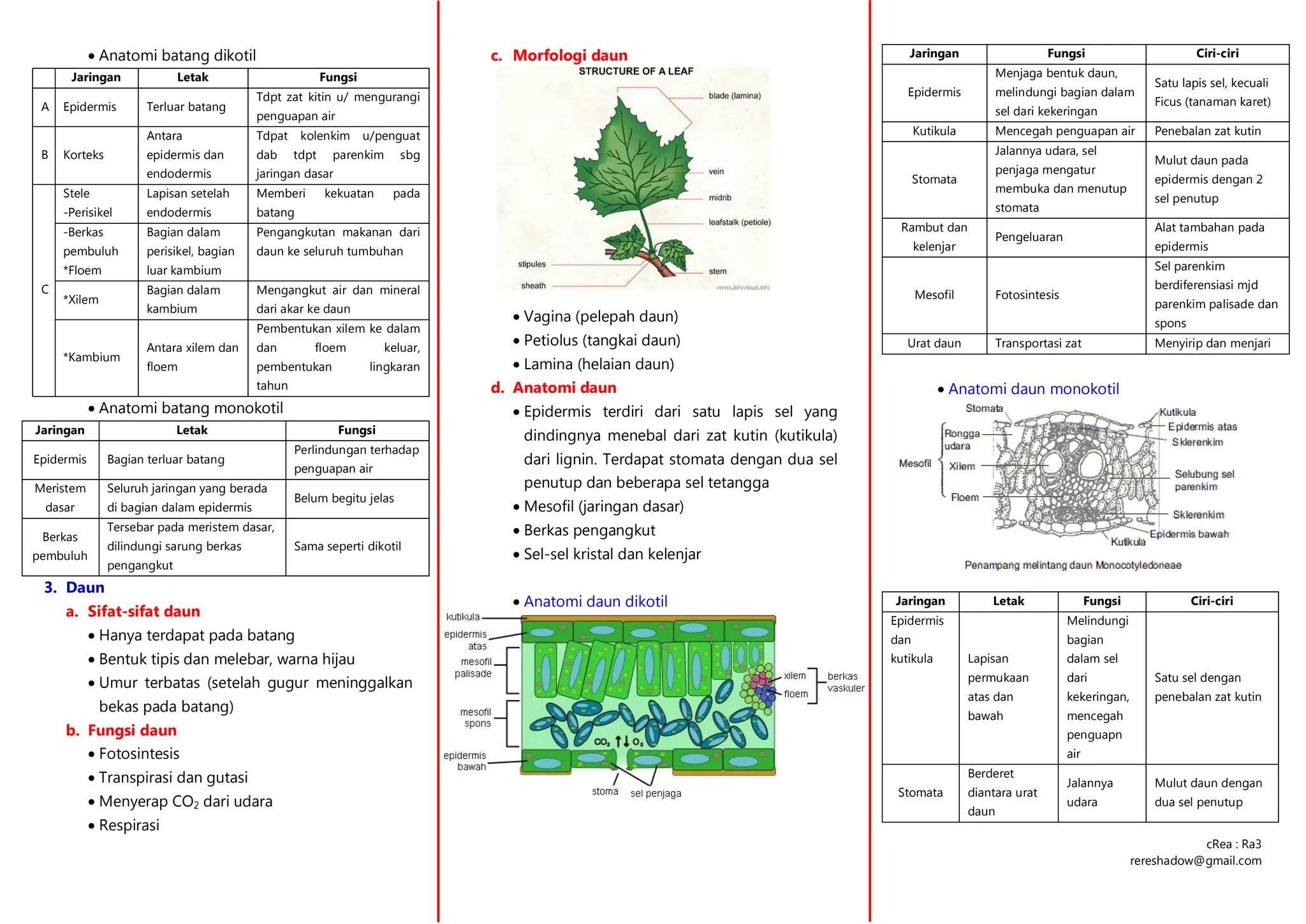 Materi Struktur Jaringan Tumbuhan(1).pdf