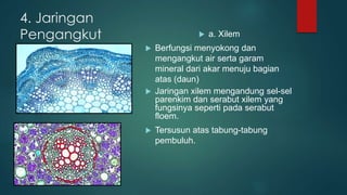Struktur jaringan tumbuhan kelompok 2 | PPT