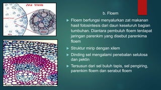 Struktur jaringan tumbuhan kelompok 2 | PPT