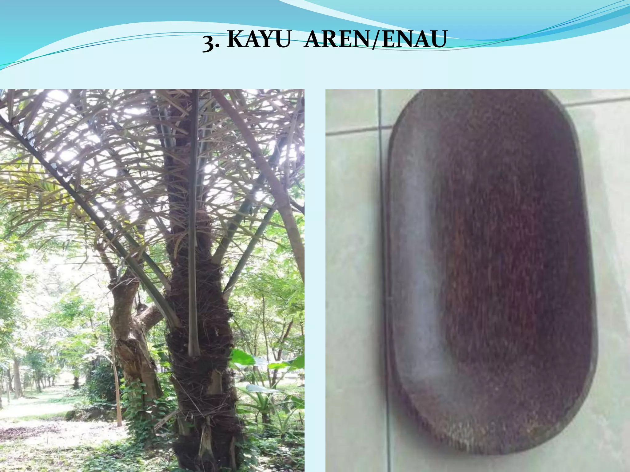 Struktur kayu | PPTX
