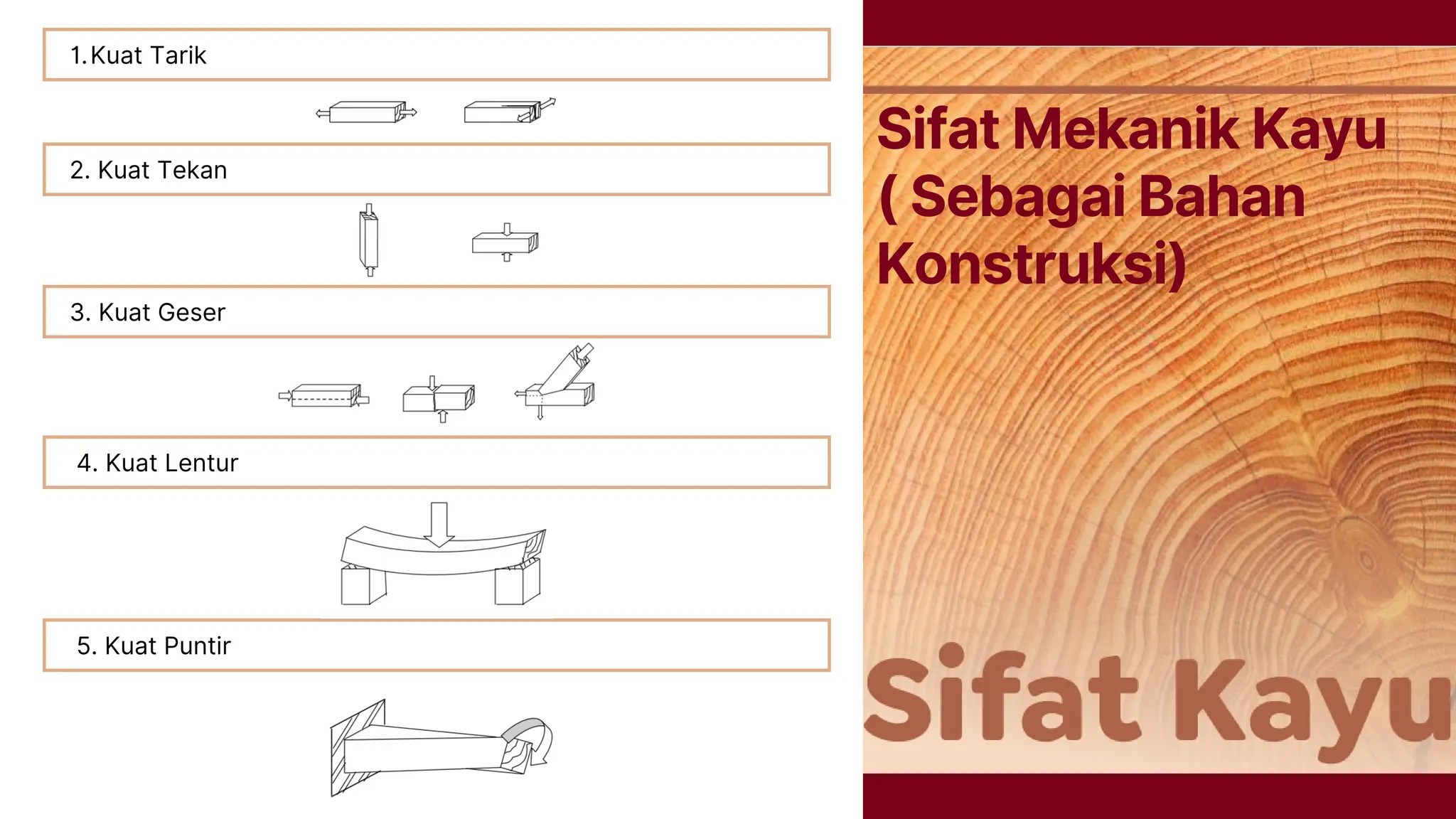 MENGENAL KAYU ALAMI SEBAGAI STRUKTUR BANGUNAN | PPT