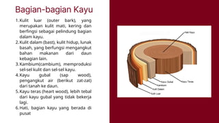 MENGENAL KAYU ALAMI SEBAGAI STRUKTUR BANGUNAN | PPT