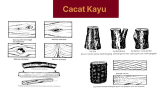 MENGENAL KAYU ALAMI SEBAGAI STRUKTUR BANGUNAN | PDF
