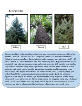 Struktur kayu ii hardwood and softwood | PDF