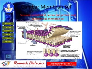 Struktur kimia sel | PDF