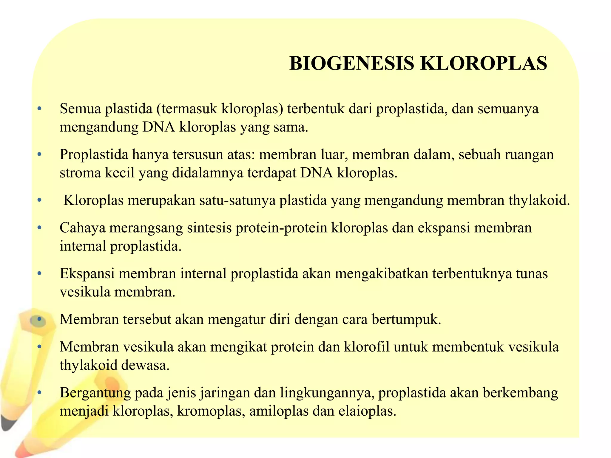 Struktur Kloroplas - Biologi Sel | PPTX