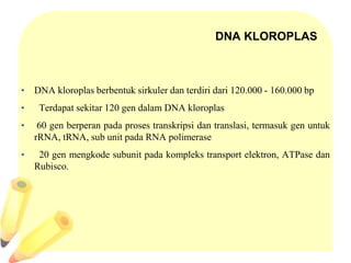 Struktur Kloroplas - Biologi Sel | PPTX