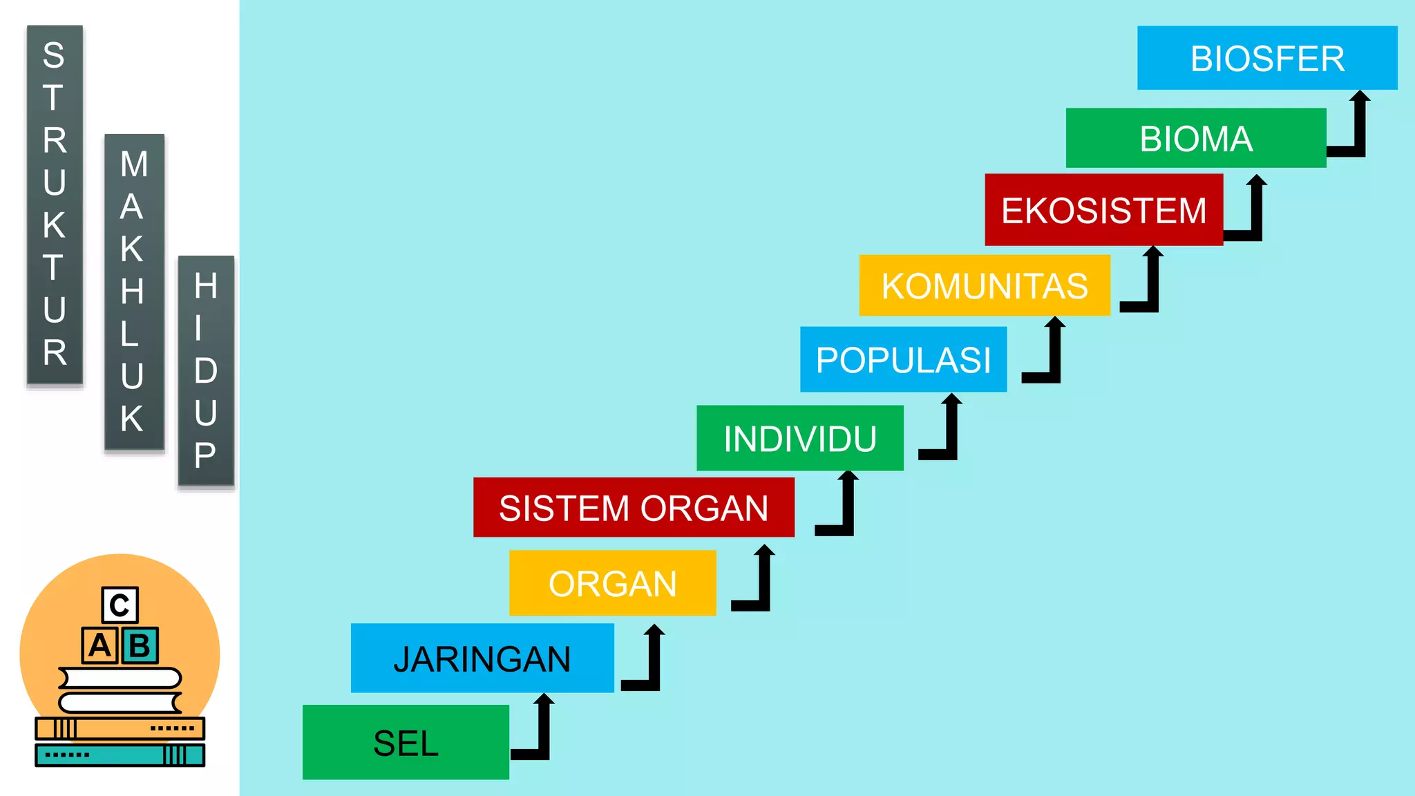 Struktur makhluk hidup lengkap | PPTX