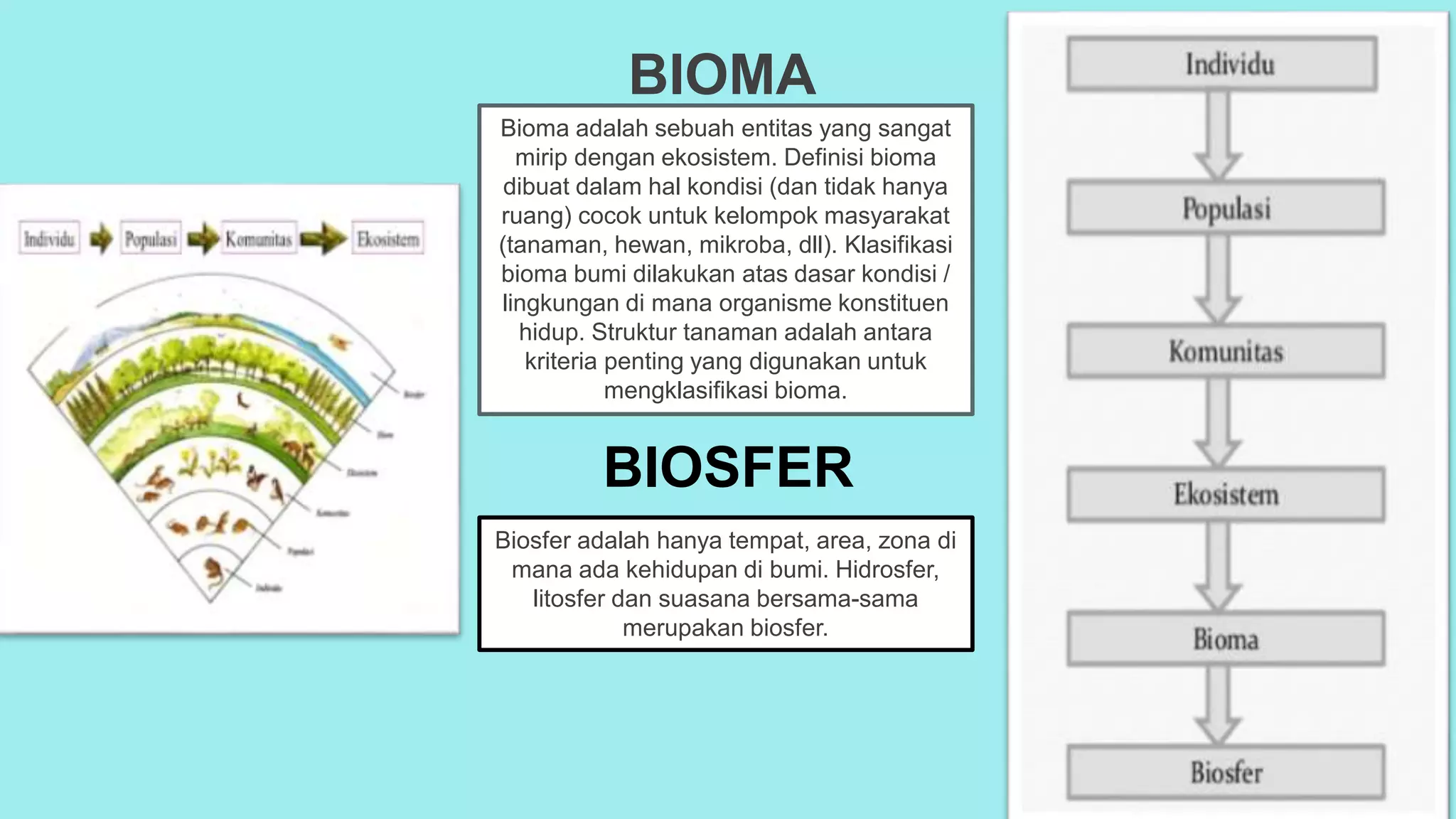 Struktur makhluk hidup lengkap | PPTX