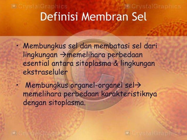 STRUKTUR MEMBRANE SEL.pptx