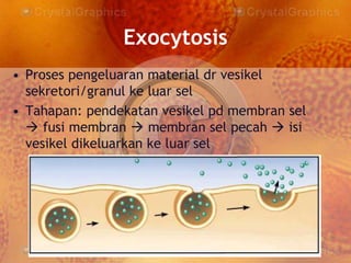 STRUKTUR MEMBRANE SEL.pptx