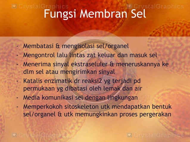 STRUKTUR MEMBRANE SEL.pptx