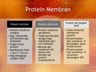 STRUKTUR MEMBRANE SEL.pptx