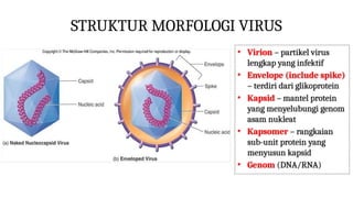 STRUKTUR, MORFOLOGI DAN PRTUMBUHAN VIRUS.pptx
