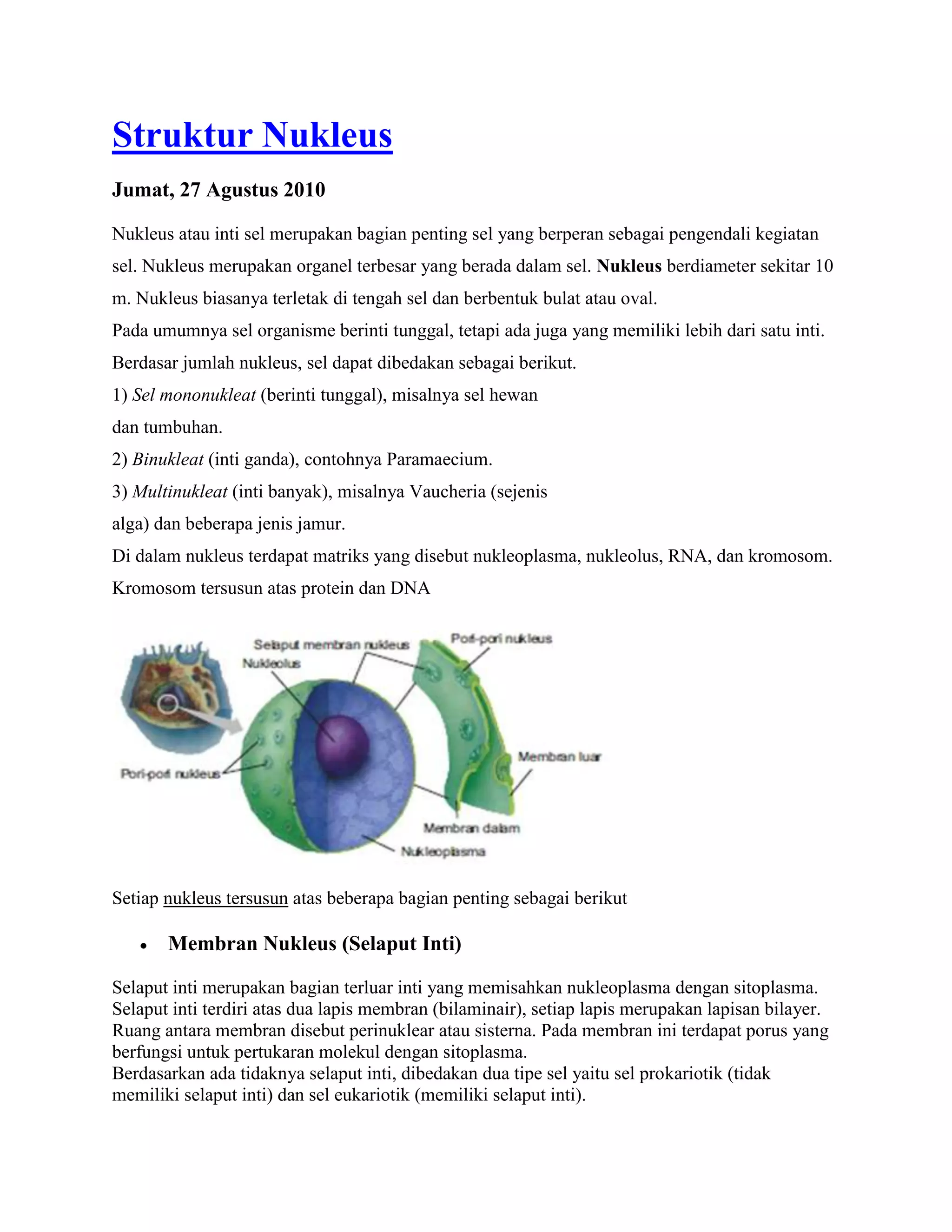 Struktur nukleus AKPER PEMKAB MUNA | DOCX