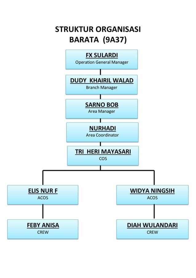 Struktur organisasi dasana indah | DOCX