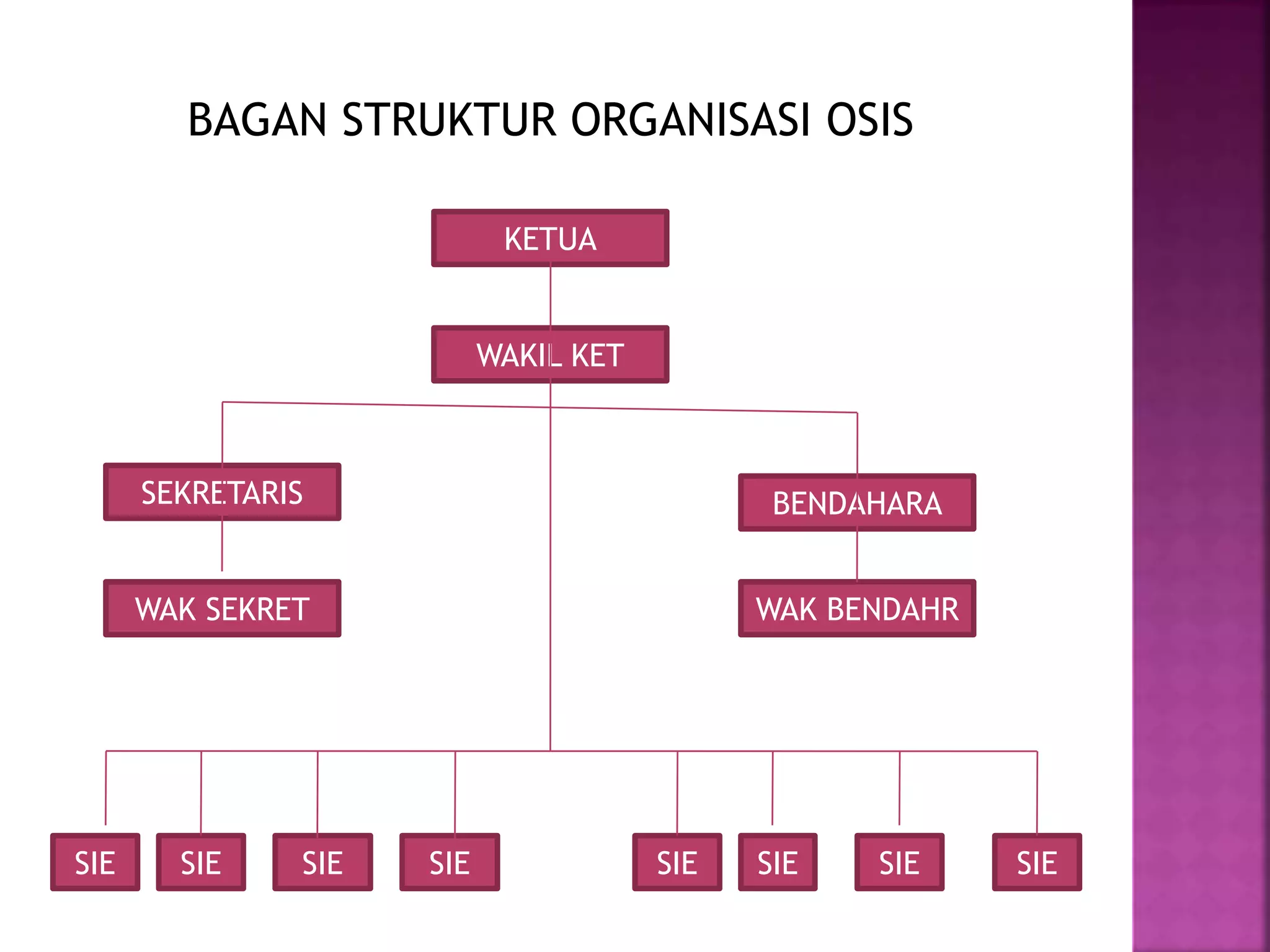 STRUKTUR_OSIS_PPDB.ppt